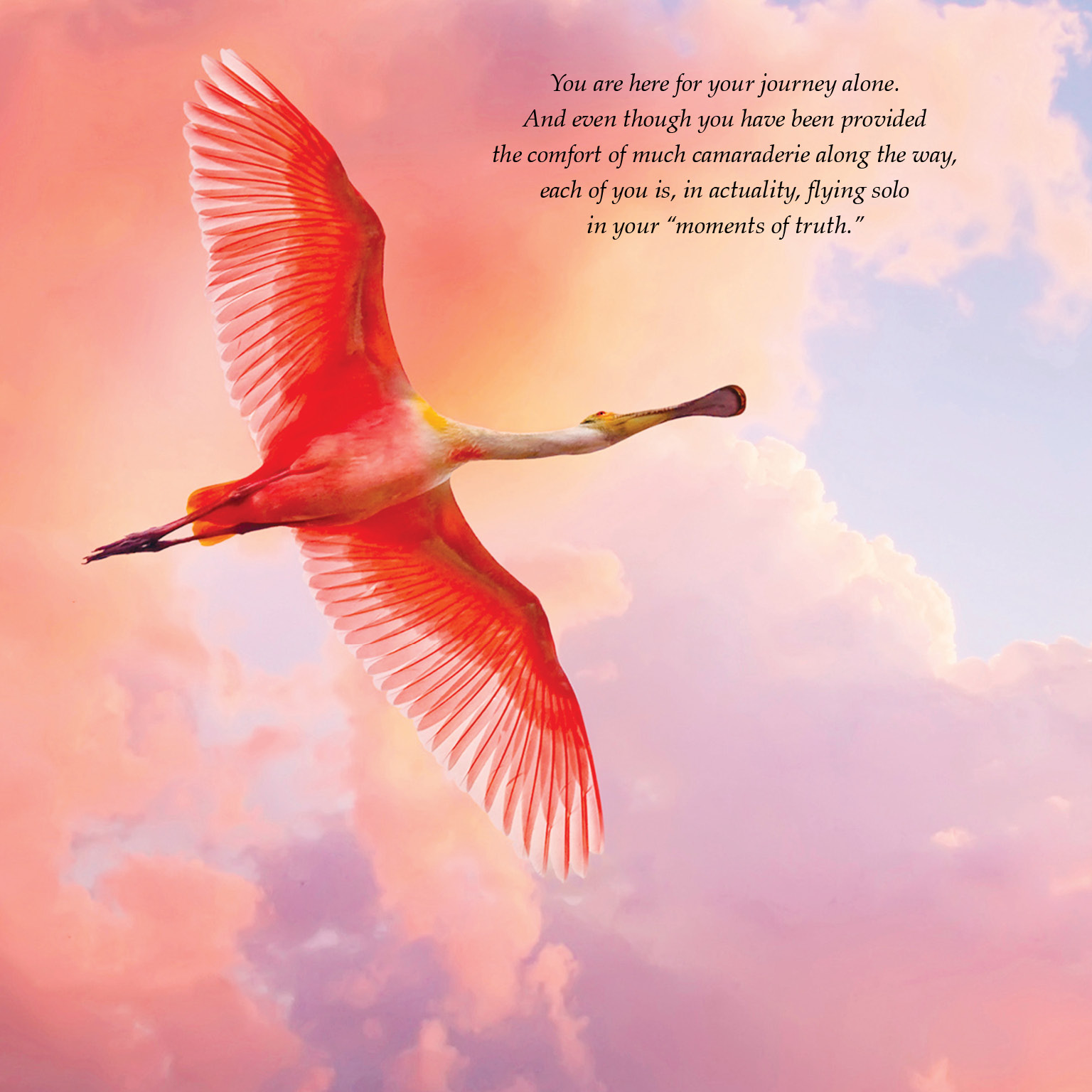 The Words of Oneness through Rasha